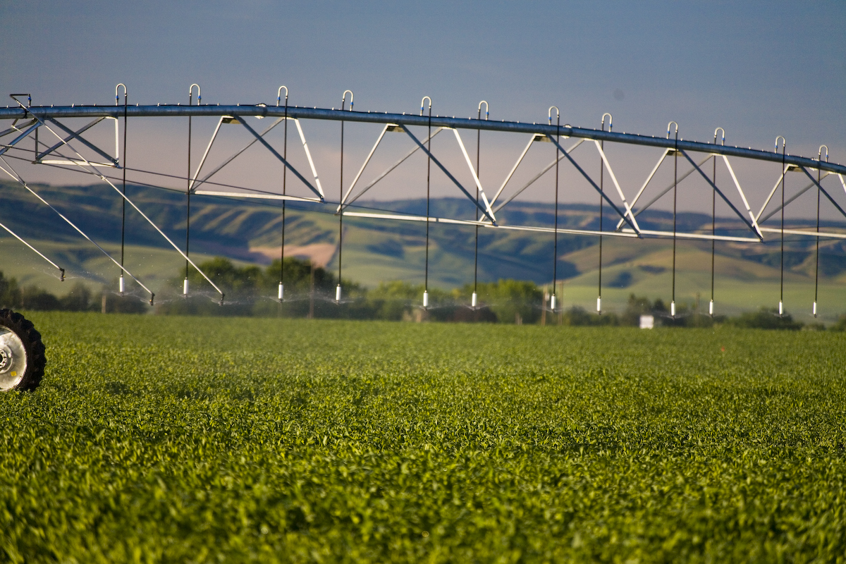 Optimiza tu Agricultura con Sistemas Automáticos de Riego: Eficiencia y Productividad ...